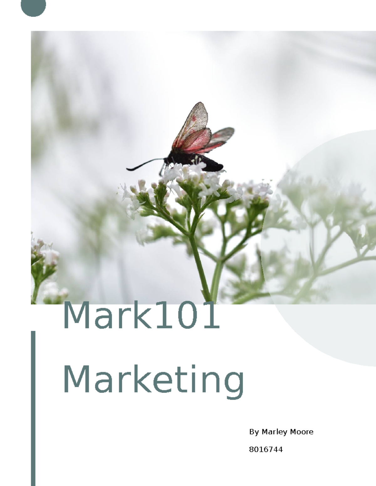 Mark101 marketing report - Mark Marketing ####### By Marley Moore 1 EXECUTIVE SUMMARY Harvest ...