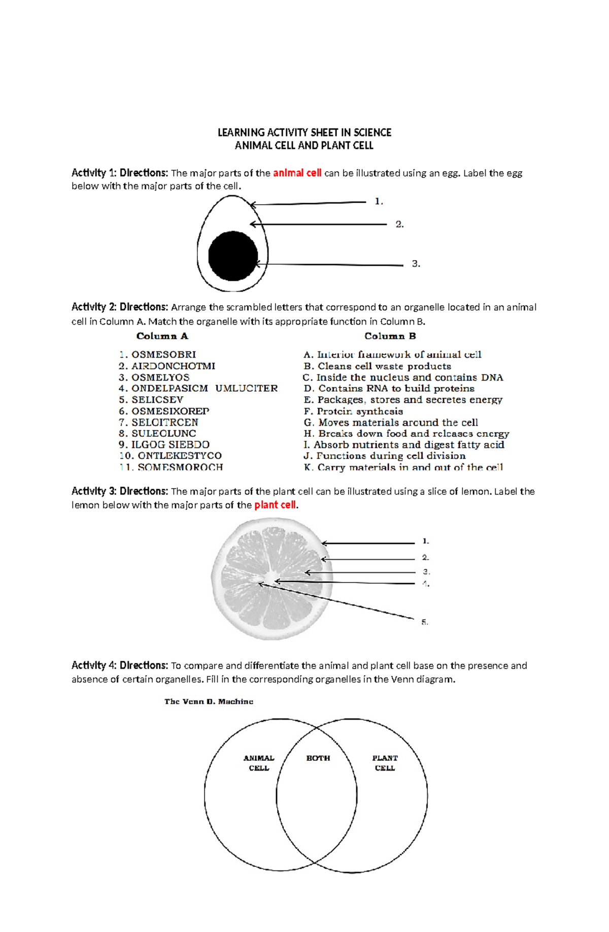 LAS- Plant AND Animal CELL - LEARNING ACTIVITY SHEET IN SCIENCE ANIMAL ...