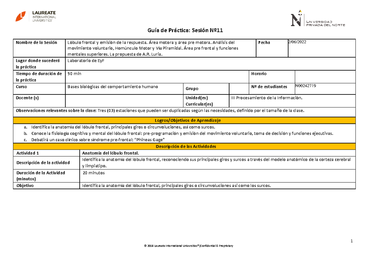GUÍA DE Laboratorio 11 GP 1 - 1 GuÌa de Pr·ctica: SesiÛn N∫ Nombre de la SesiÛn LÛbulo frontal y ...