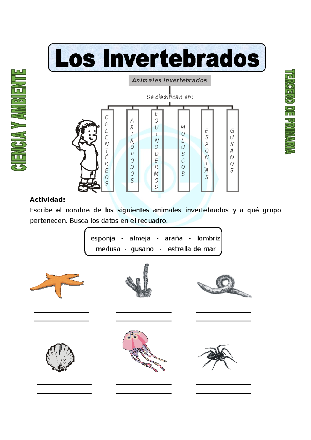 Ficha de Los Invertebrados para Tercero de Primaria - comunicacion - S ...
