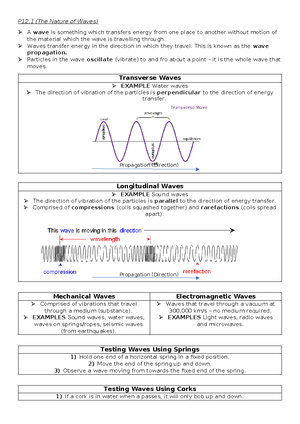 Notes GCCJ Summary. 22 - Summary of lecture - Gender, Crime, and ...