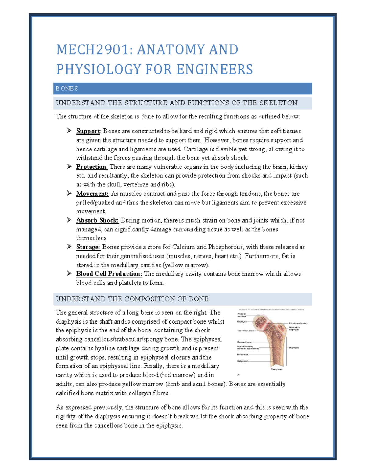 Anatomy engineering - MECH2901: ANATOMY AND PHYSIOLOGY FOR ENGINEERS ...