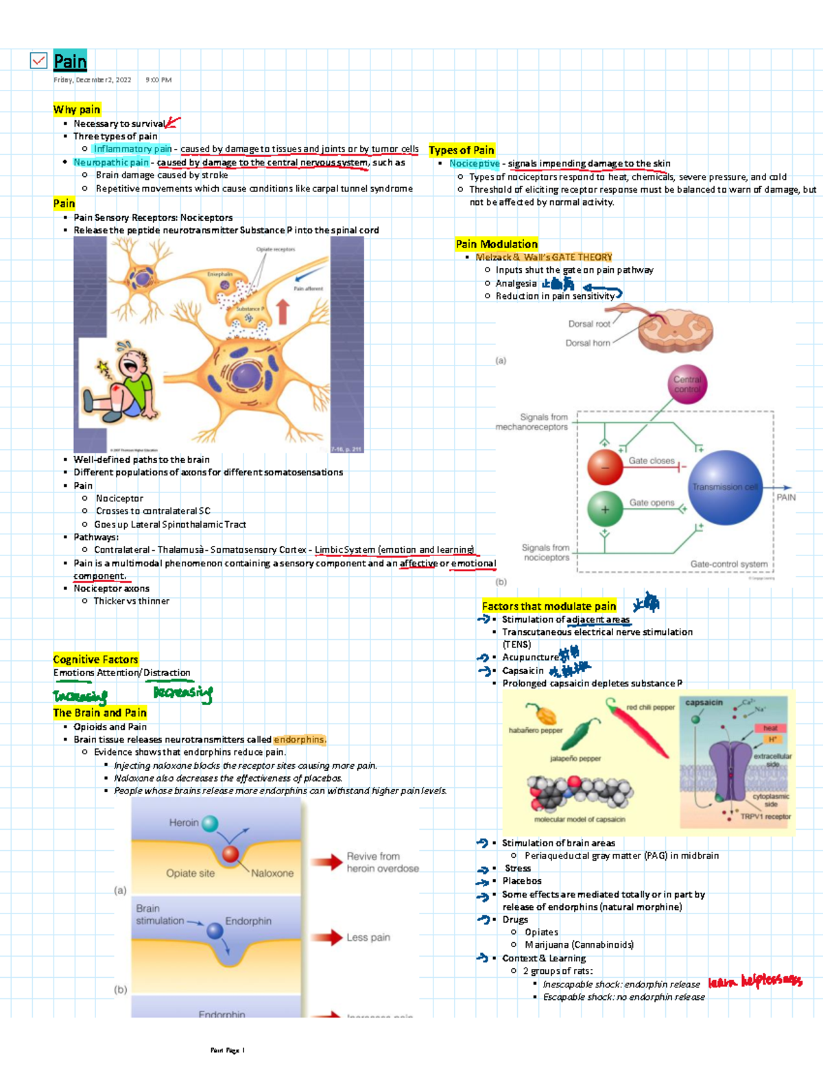 Pain - Lecture note with picture - Why pain Necessary to survival Three ...