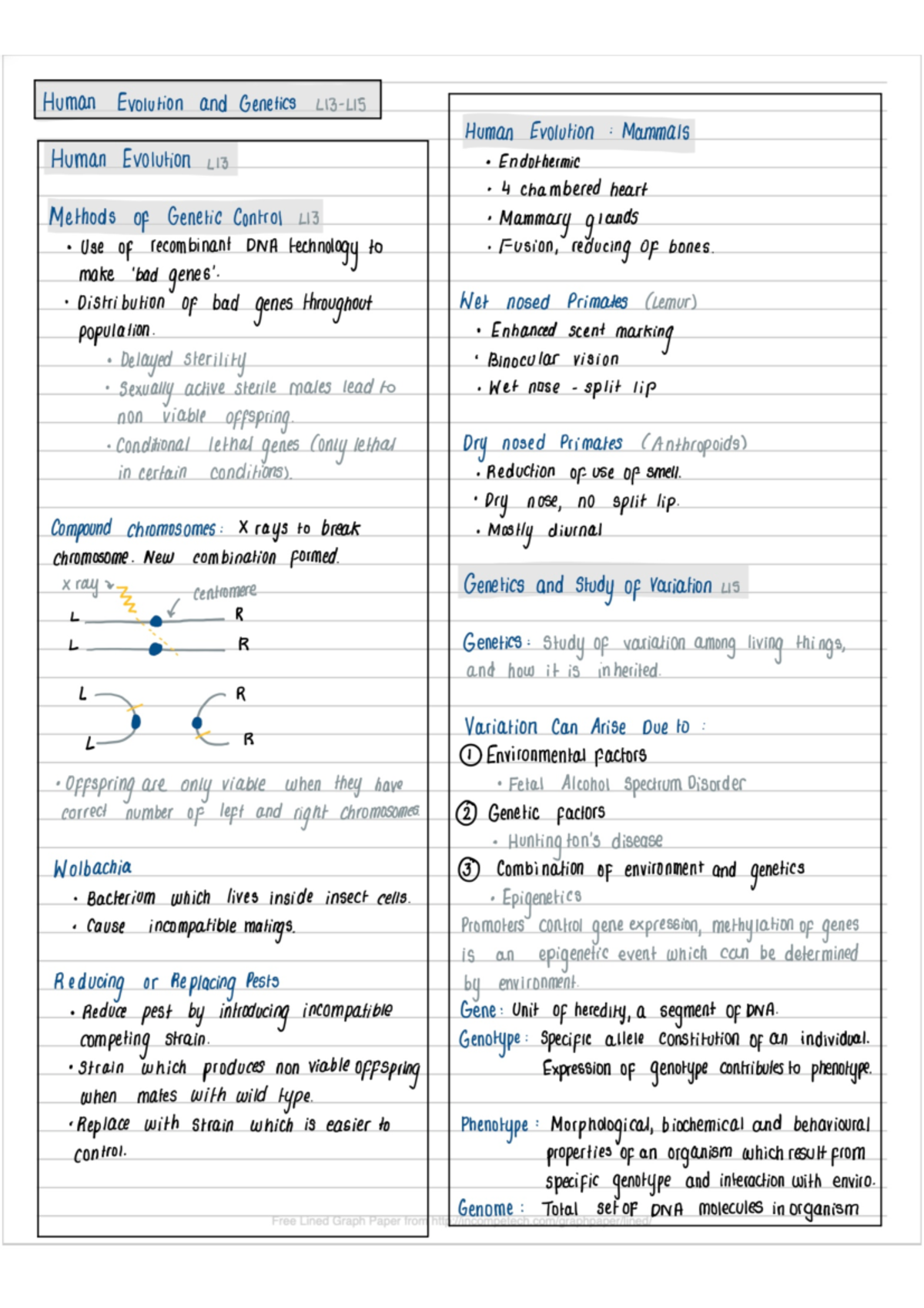 Human Evolution & Genetics - BIOL10003 - Studocu