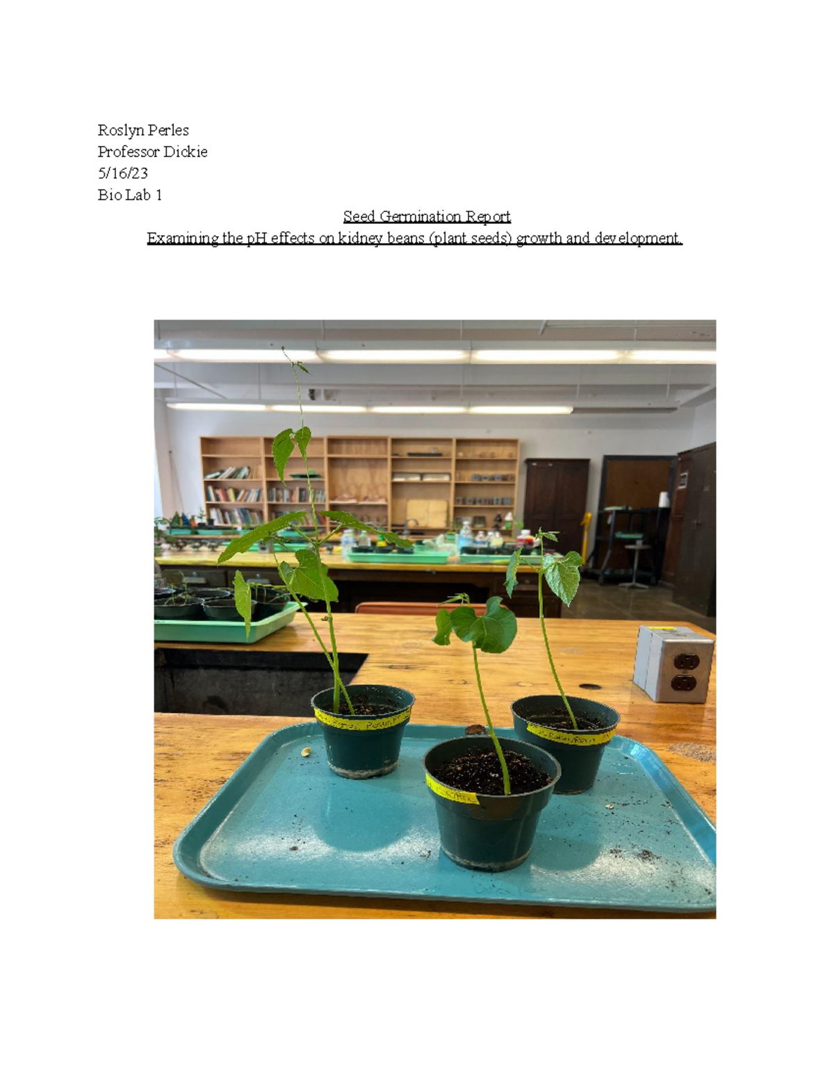 BIO Report Germination - Roslyn Perles Professor Dickie 5/16/ Bio Lab 1 ...