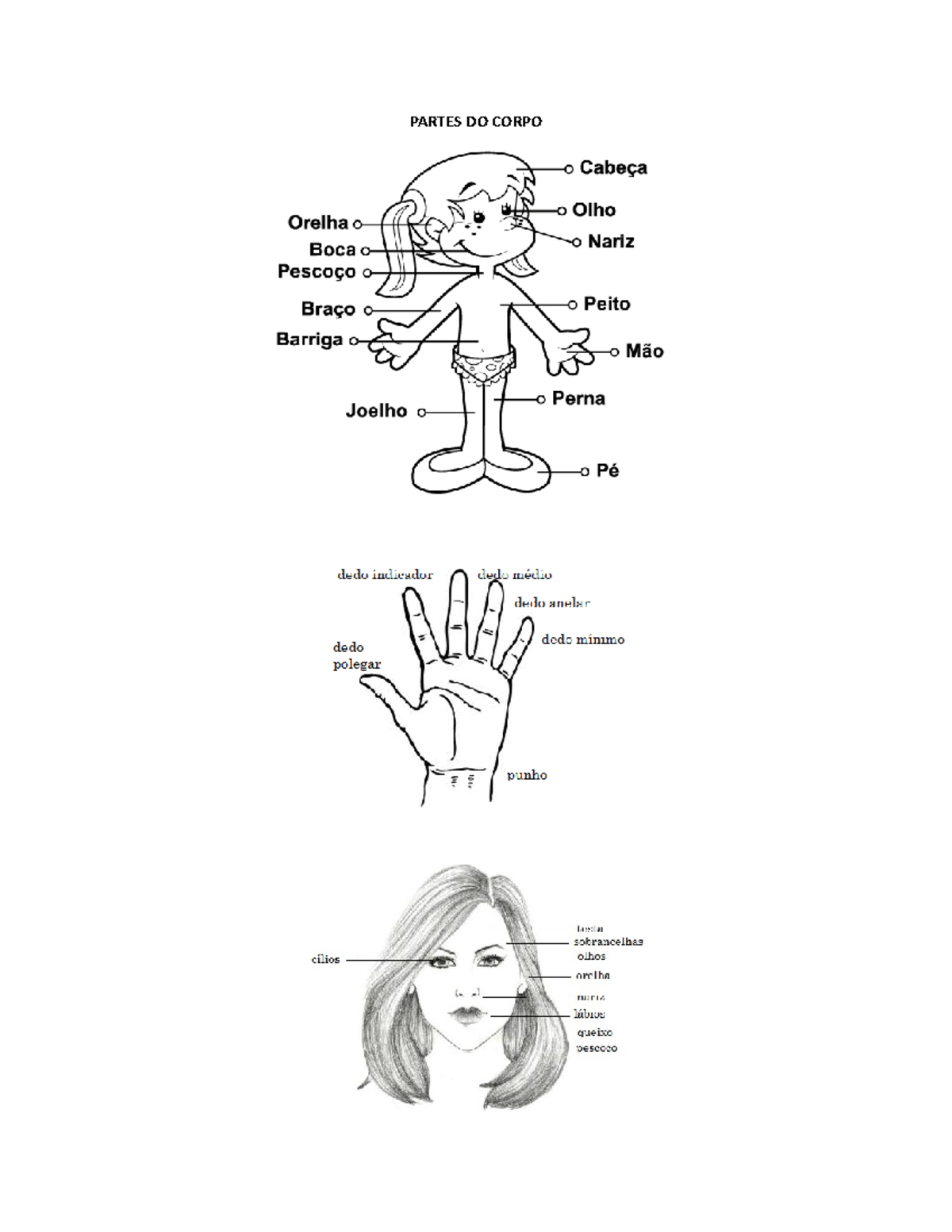 Partes Do Corpo - Idioma Portugués - PARTES DO CORPO - Studocu