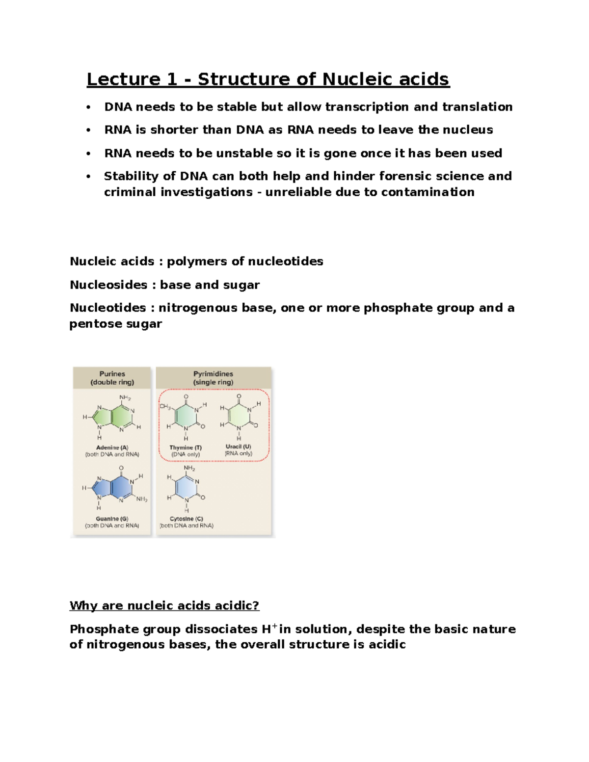 Lecture 1 - structure of nucleic acids - Lecture 1 - Structure of Nucleic acids DNA needs to be ...