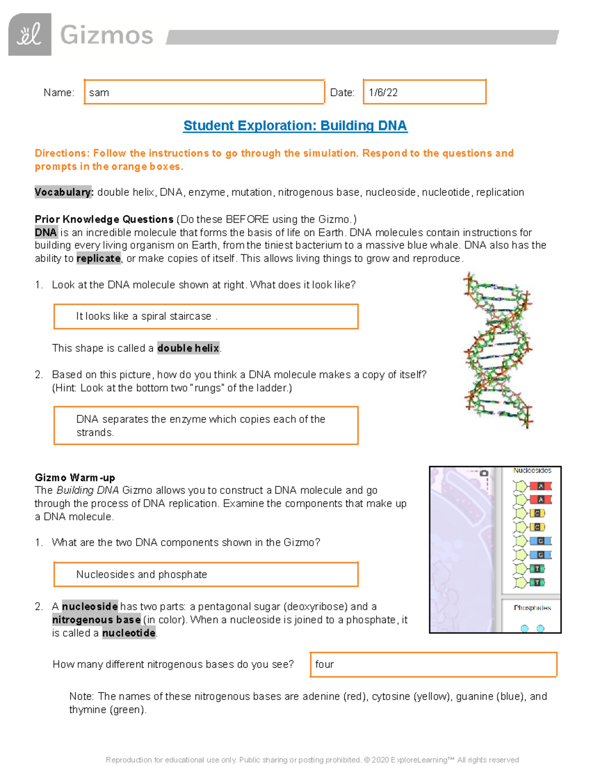Gizmo Building DNA - Student Worksheet-2 - Name: sam Date: 1/6/ Student ...