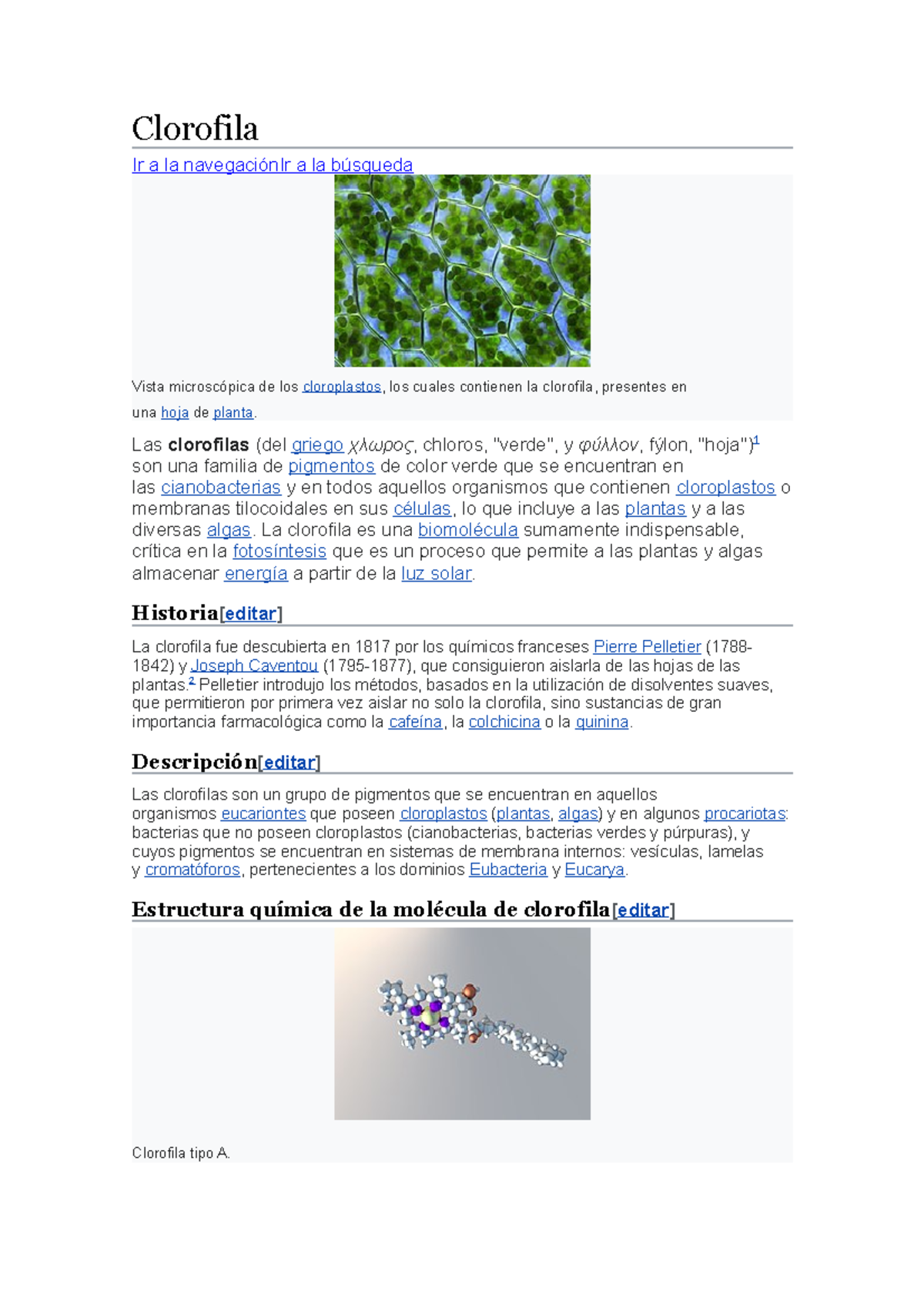 Trabajo final la clorofila - Clorofila Ir a la navegaciónIr a la búsqueda Vista microscópica de ...
