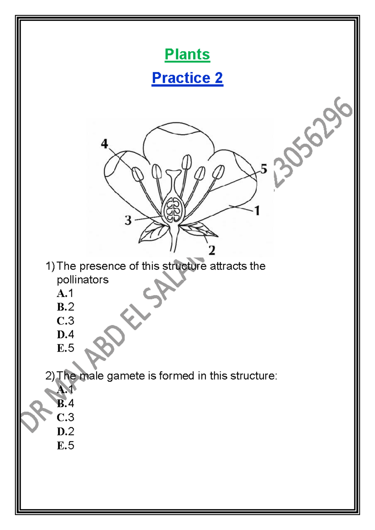 Plants practice 2 - Biology for ACT exams - Plants Practice 2 The ...