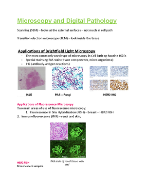 Cellular Pathology - Cellular Pathology Histopathology The study of ...
