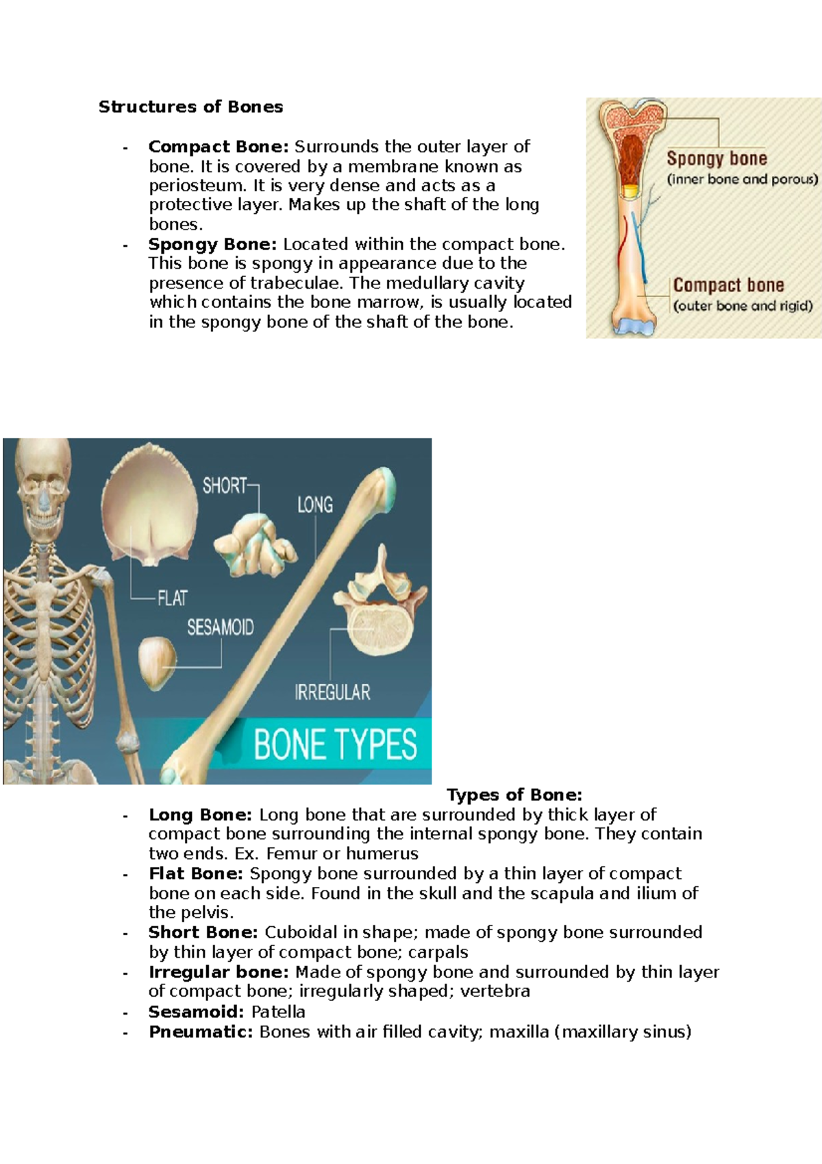 Structures of Bones - Lecture notes Notes - Structures of Bones ...