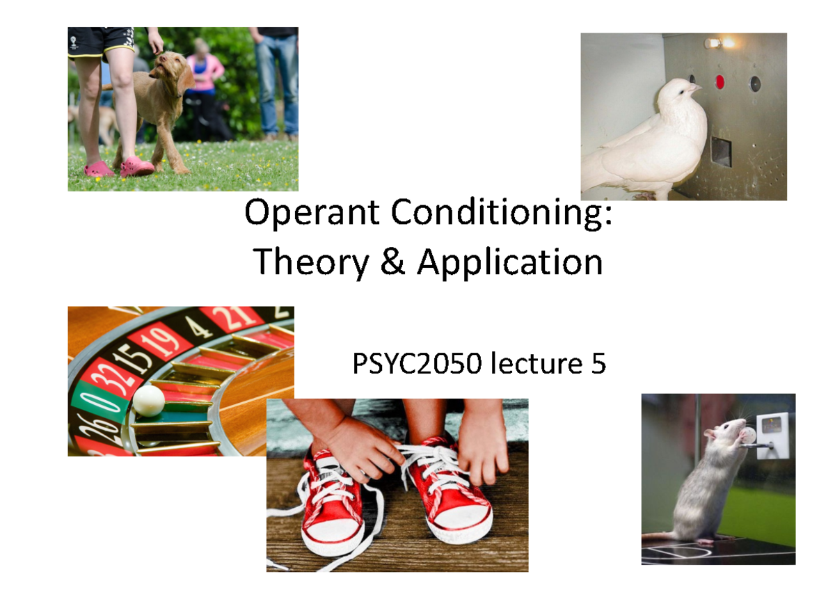 Lecture 5 operant conditioning 2 - Operant Conditioning: Theory ...
