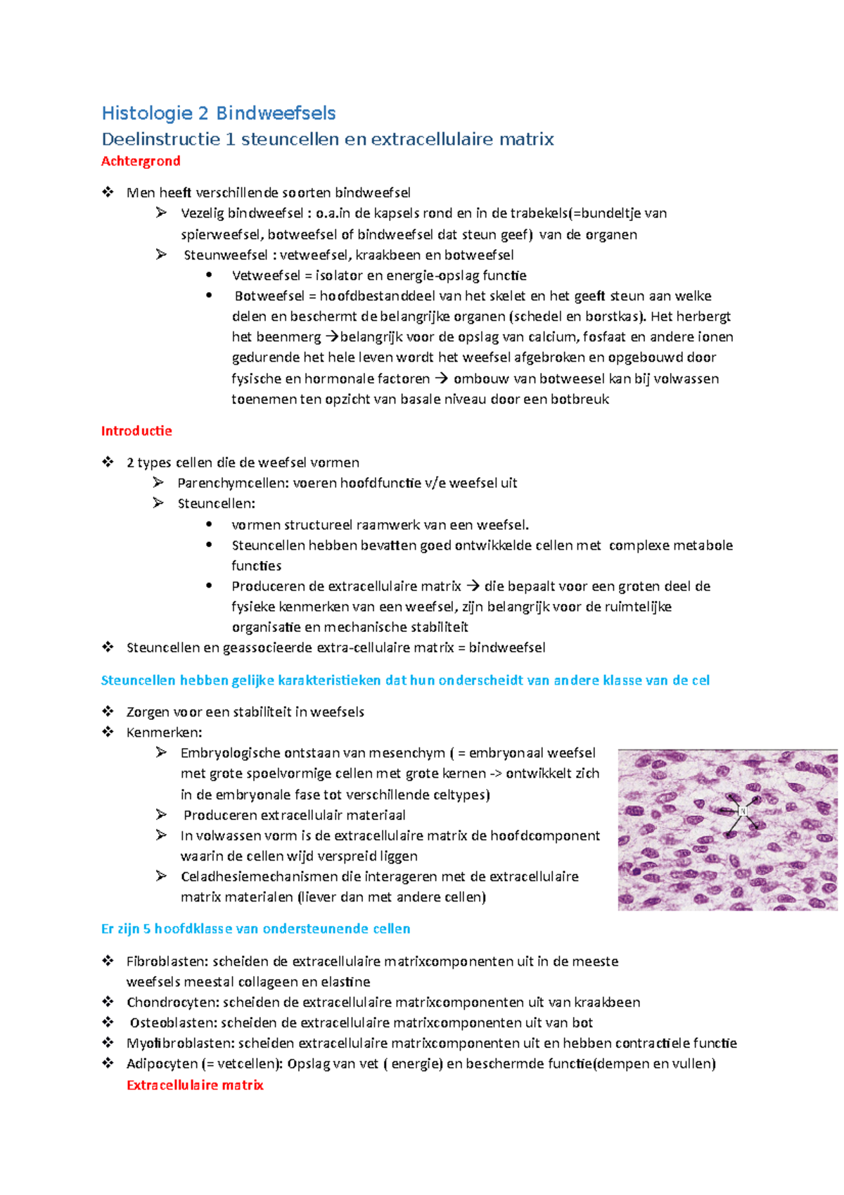 Histologie 2 Bindweefsels - Histologie 2 Bindweefsels Deelinstructie 1 ...