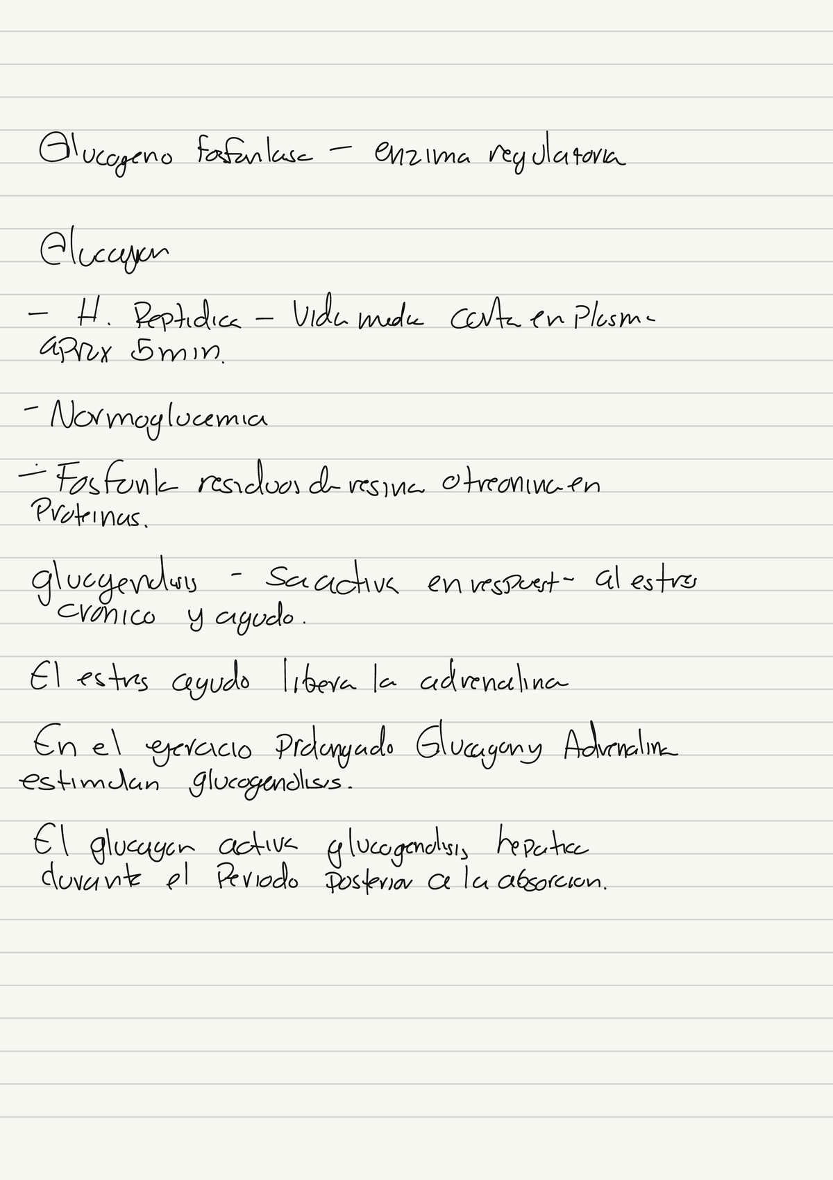 Biomed - Glucogeno fafanlase enzima regulatoria Clucagen H. Reptidica ...