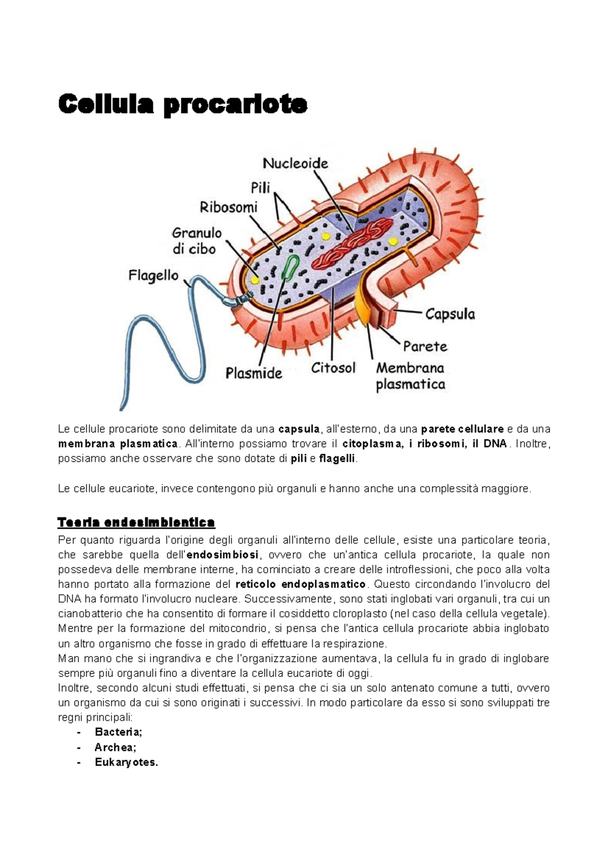 Cellule e organuli - Appunti di lezione 2 - Cellula procariote Le cellule procariote sono ...