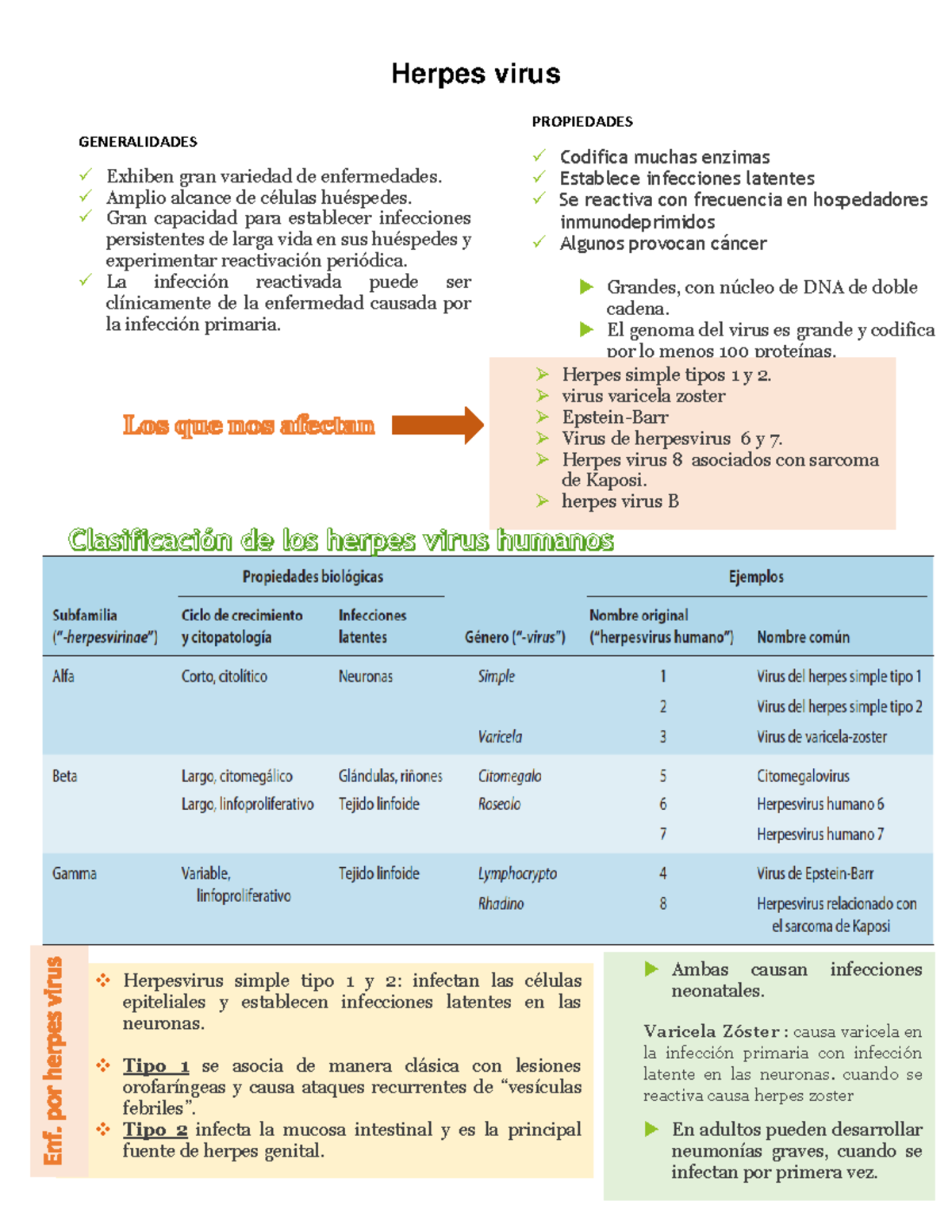 Herpes virus - Microbiología médica - Warning: TT: undefined function: 32 Herpes virus ...