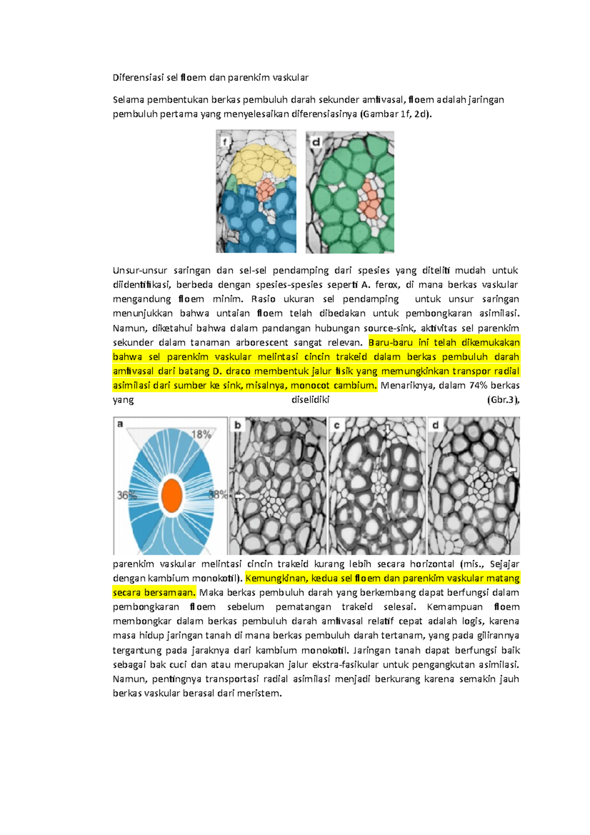 Diferensiasi sel floem dan parenkim vaskular - Unsur-unsur saringan dan ...
