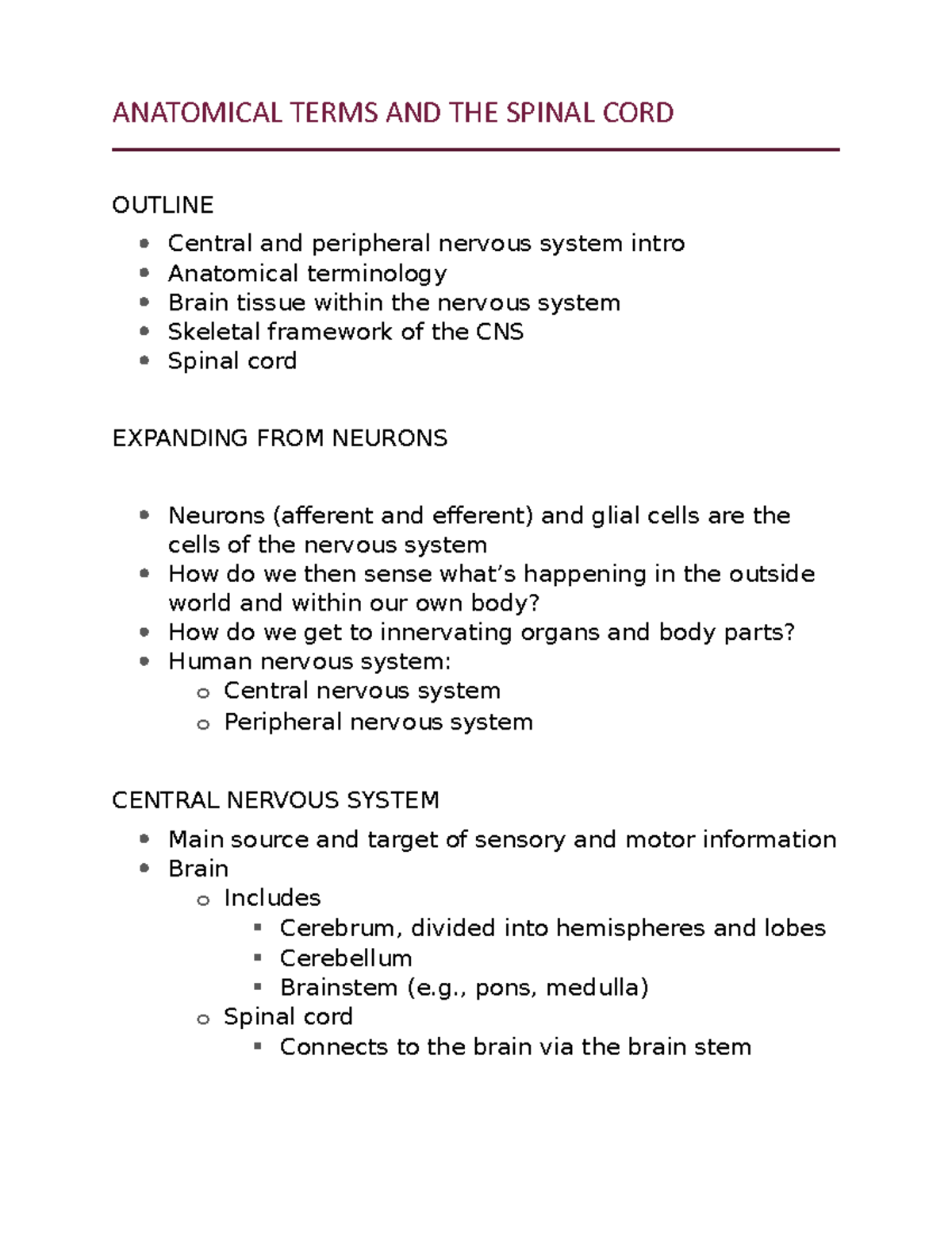 Anatomical Terms AND THE Spinal CORD - ANATOMICAL TERMS AND THE SPINAL ...