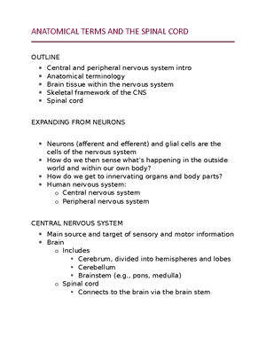 Neural Bases- Intro TO Human Nervous System - Introduction to the Human ...