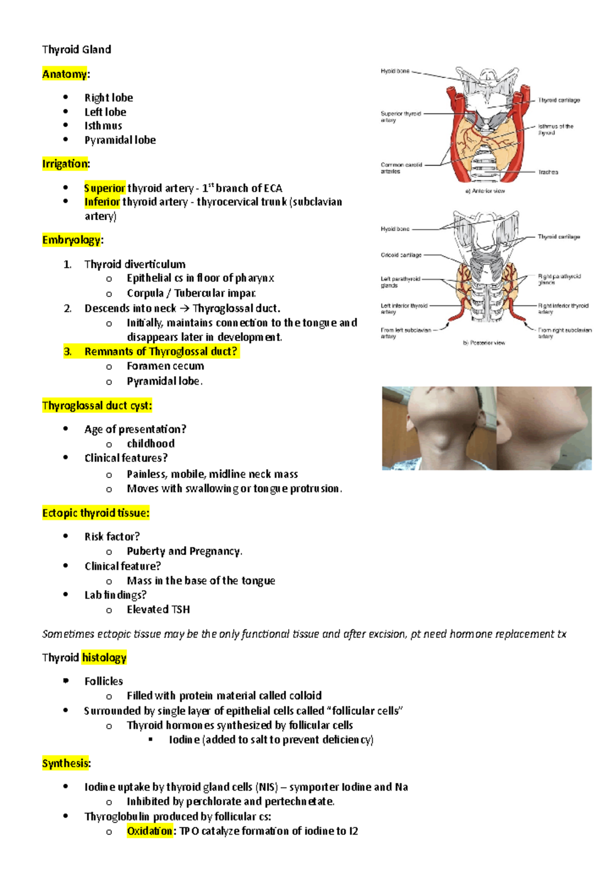 Endocrinology board and beyond - Thyroid Gland Anatomy: Right lobe Left ...