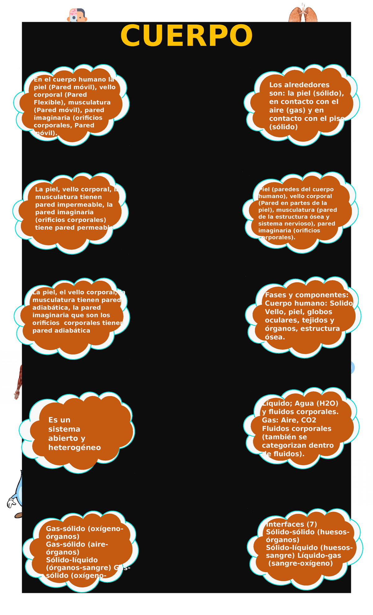 Cuerpo humano infografia - Es un sistema abierto y heterogéneo Gas ...