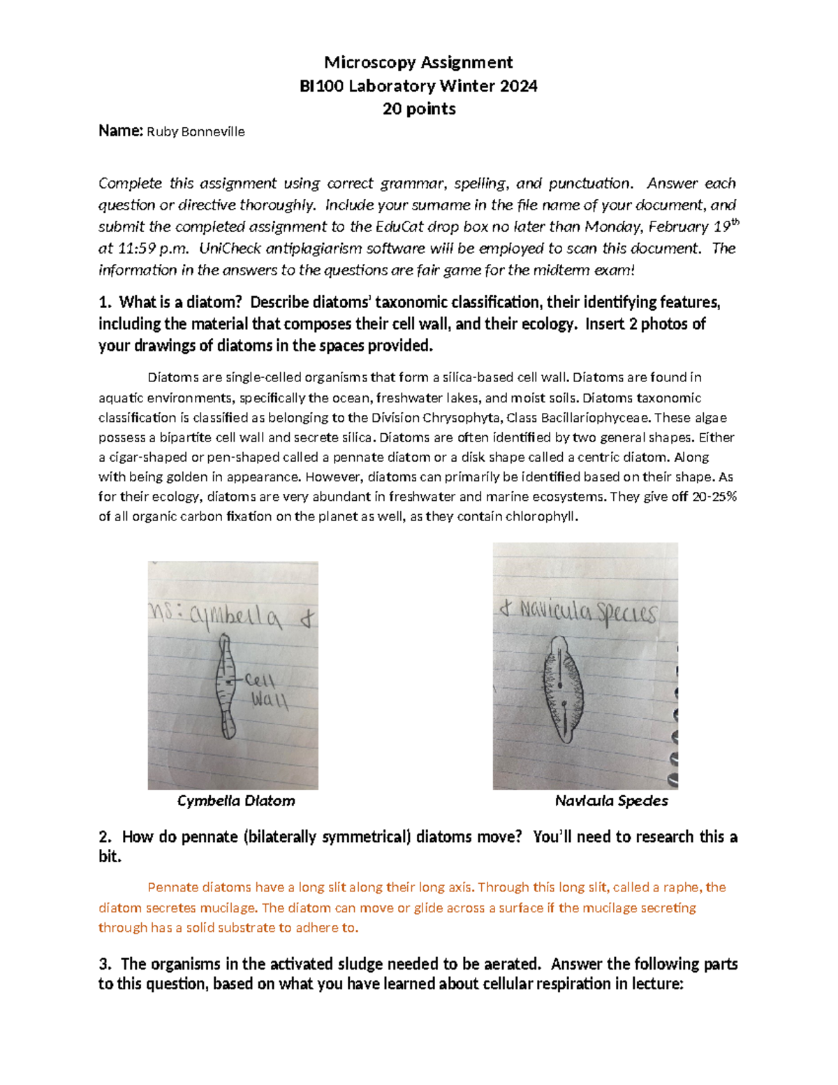 Microscopy Assignment W24 (2) - Microscopy Assignment BI100 Laboratory Winter 2024 20 points ...