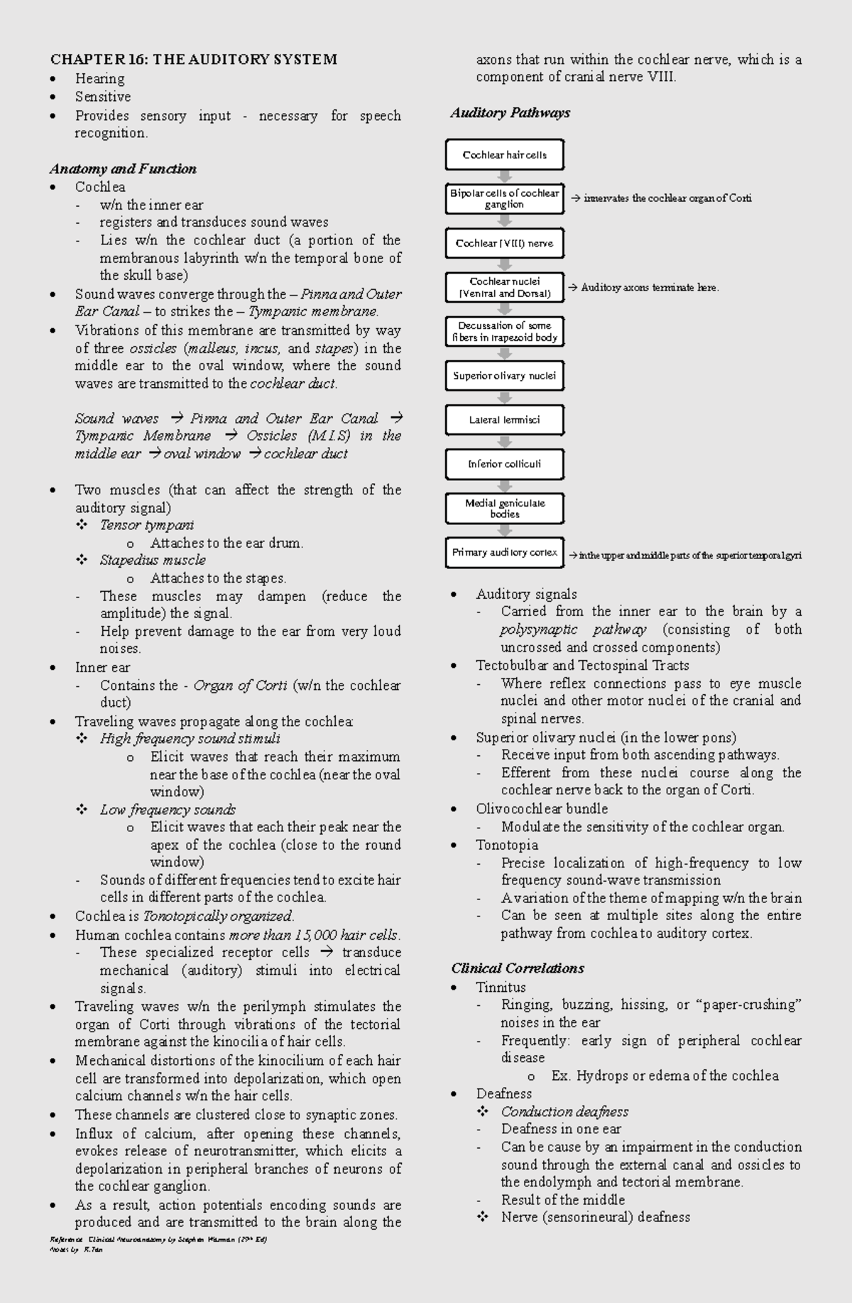 Chapter 16 - Auditory System - Reference: Clinical Neuroanatomy by ...