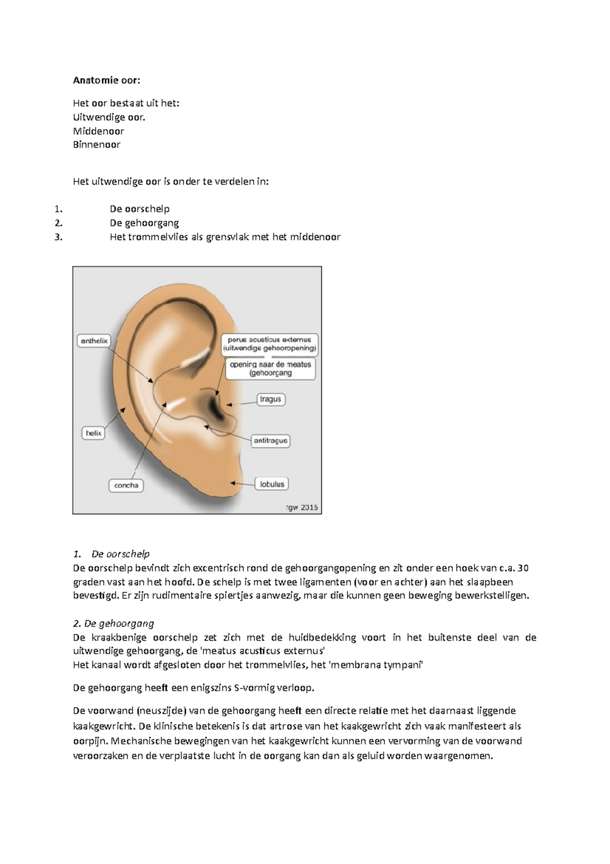 Anatomie oor - Middenoor Binnenoor Het uitwendige oor is onder te ...