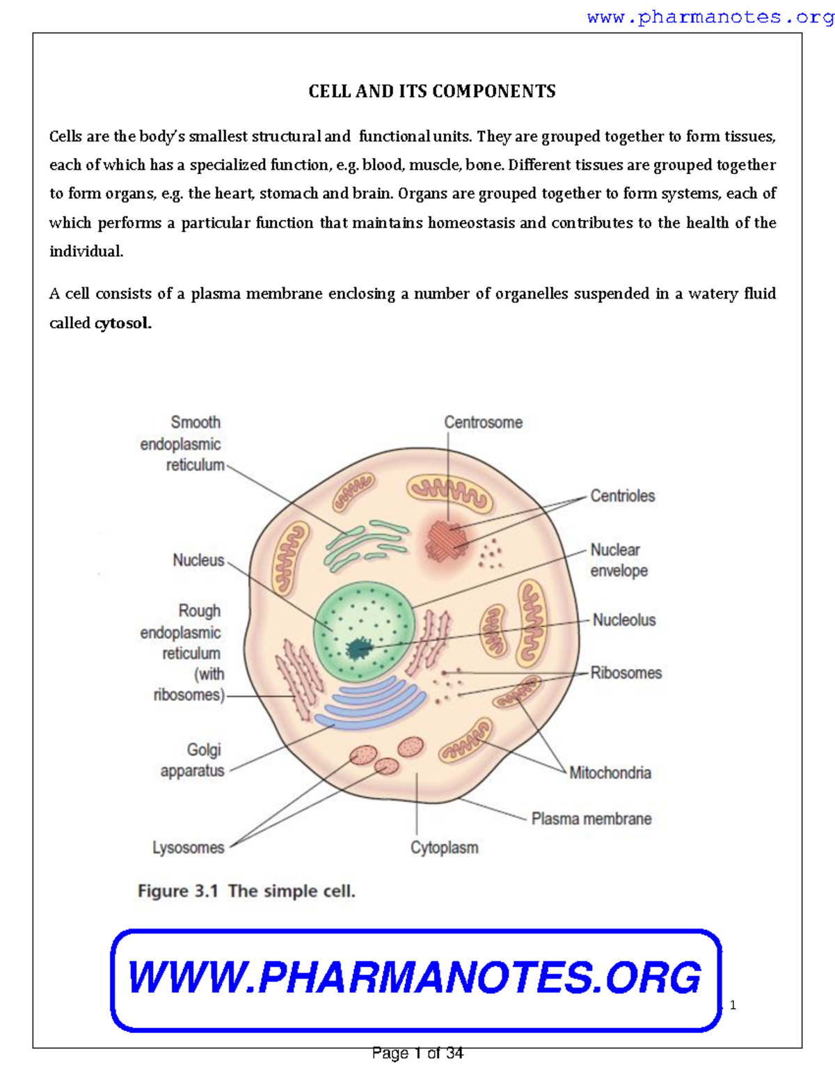 CELL - Notes for 1 st sem human anatomy and physiology - 1 CELL AND ITS ...