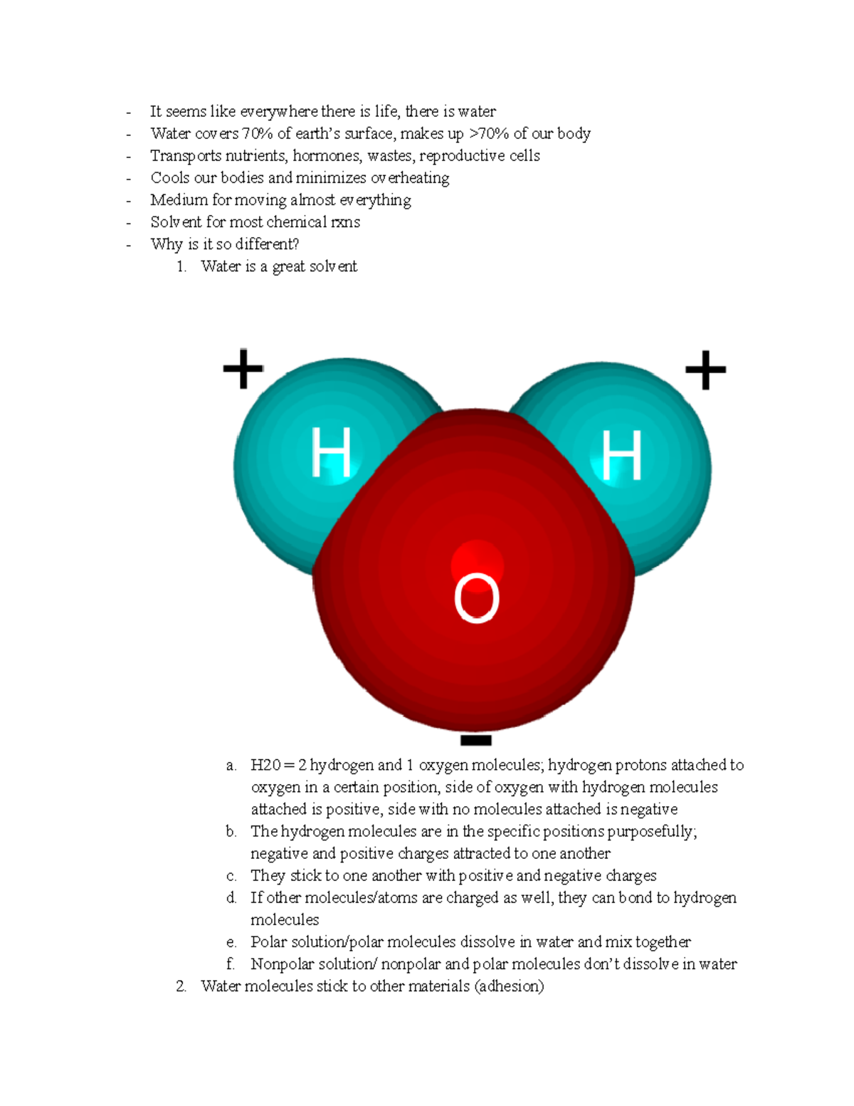 Properties of Water - BIO 1201 - App State - Studocu