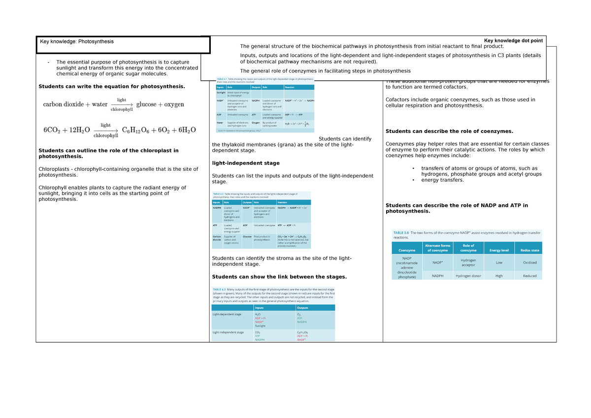 Summary Notes Sheet - Photosynthesis - Students can outline the purpose ...