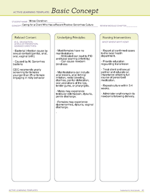 Cultural Assessment - Community Health - ACTIVE LEARNING TEMPLATES ...
