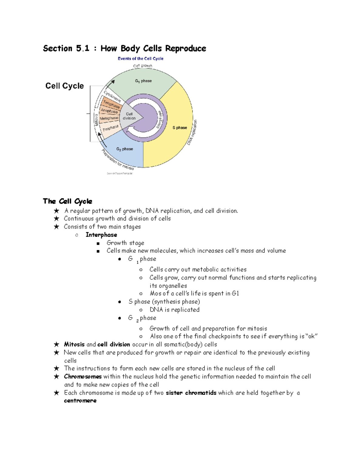 Unit 2 - Chapter 5 (5 - Section 5 : How Body Cells Reproduce The Cell ...