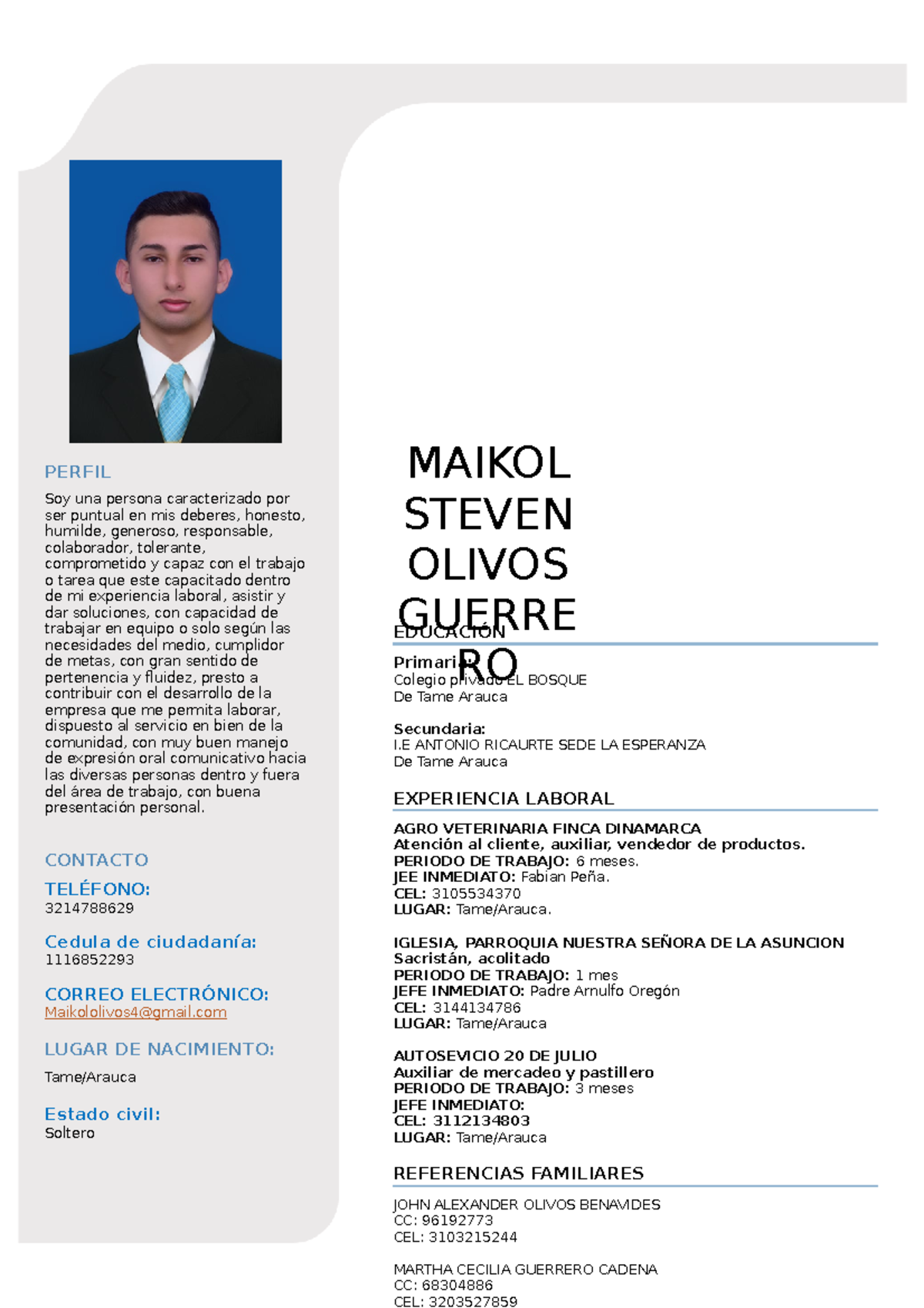 HOJA DE VIDA Actualiada - PERFIL Soy una persona caracterizado por ser ...