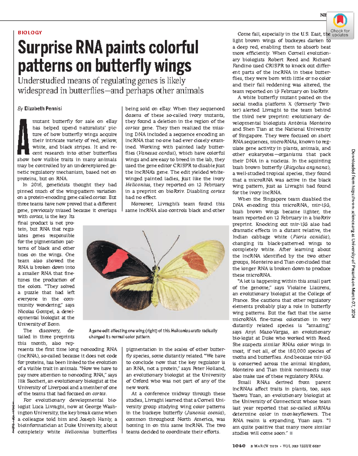 Surprise RNA paints colorful patterns on butterfly wings - By Elizabeth ...
