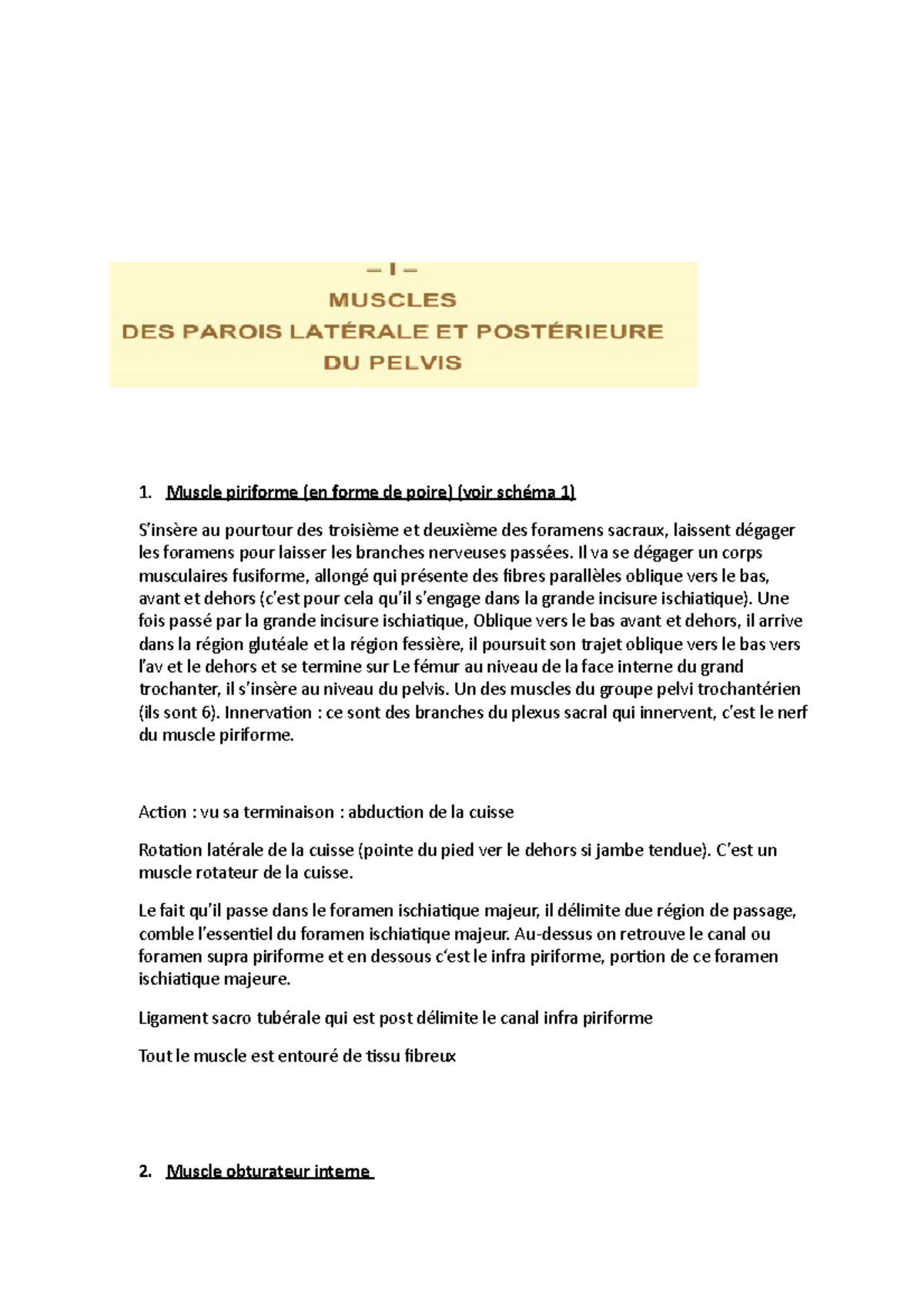 Muscles pelvis ue8 - cours d'anatomie - Muscle piriforme (en forme de ...