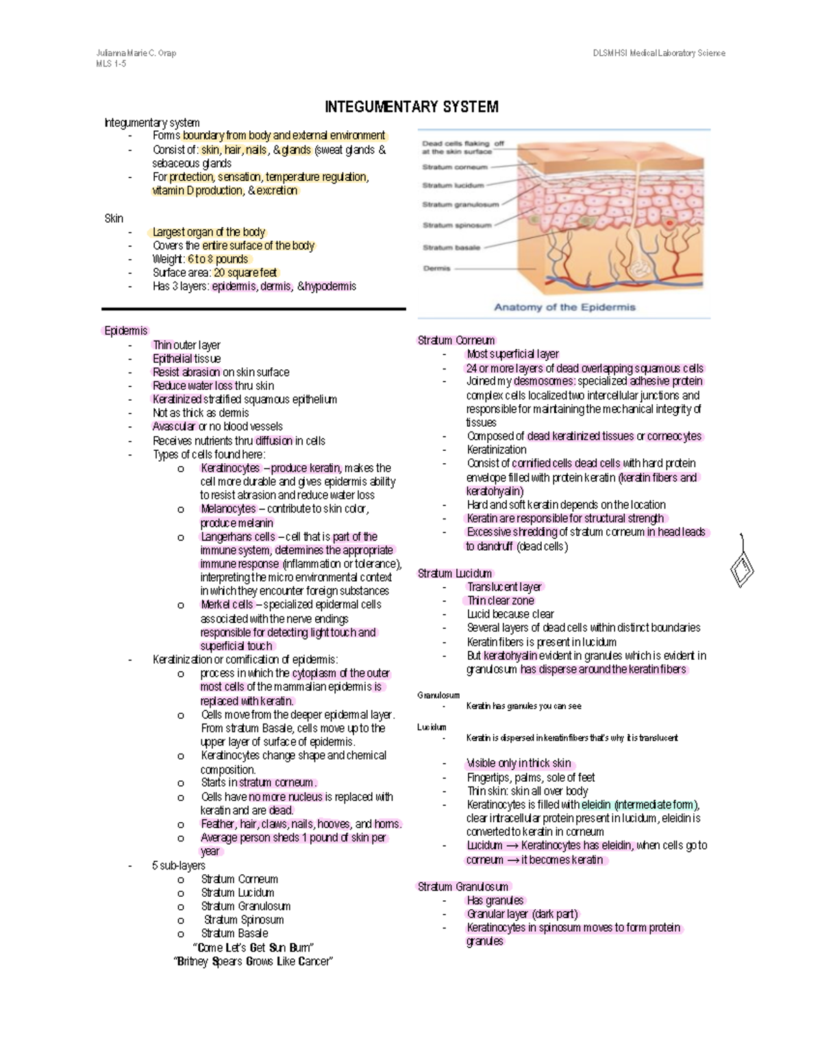 Anaphy lab midterms - MLS 1- 5 INTEGUMENTARY SYSTEM Integumentary ...