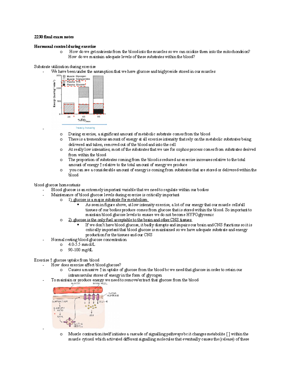 ex Phys final exam notes - 2230 final exam notes Hormonal control ...