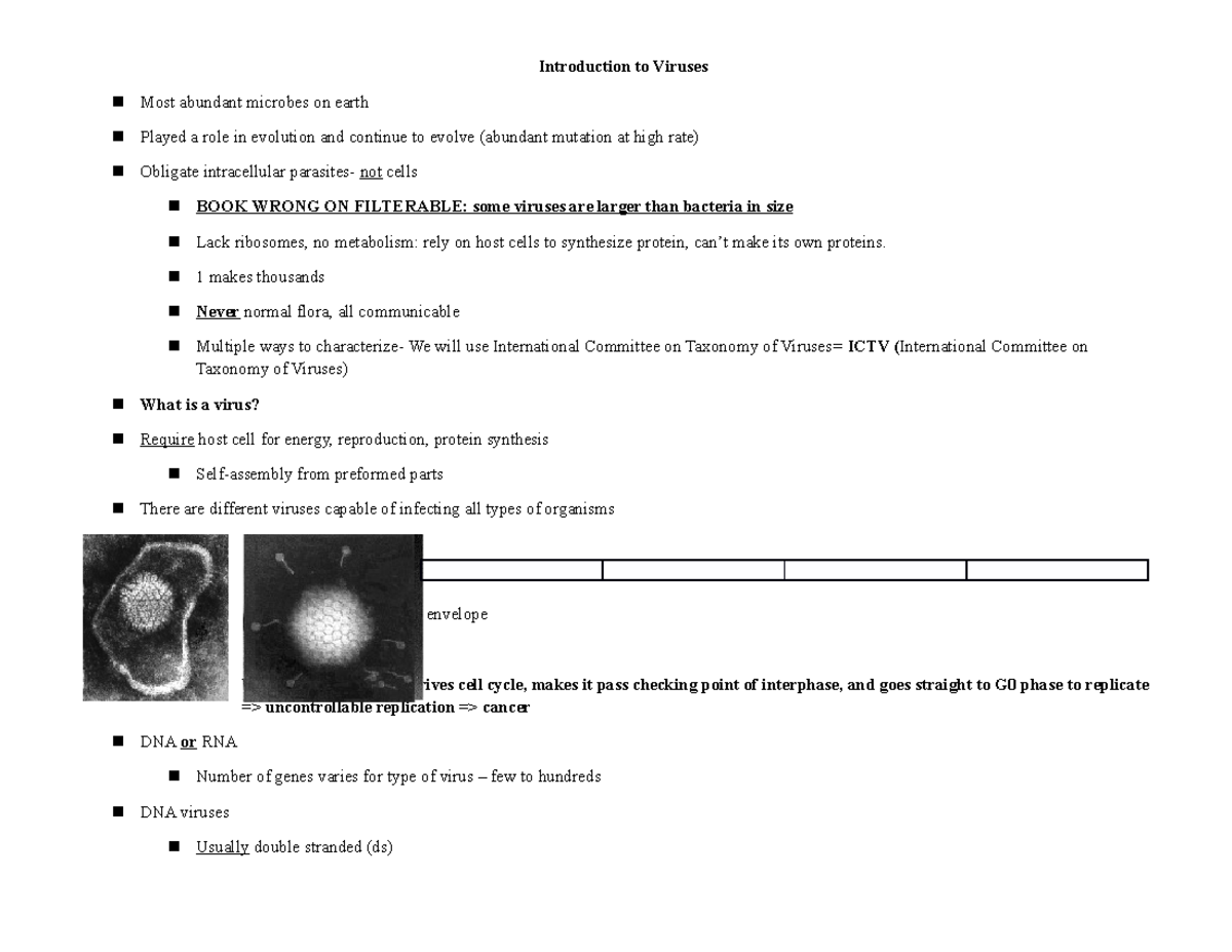 Virology - Summary General Microbiology - Introduction to Viruses Most ...