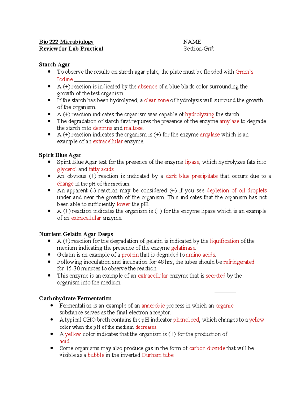 Bio 222 Practical Review KEY - Bio 222 Microbiology NAME: Review for ...