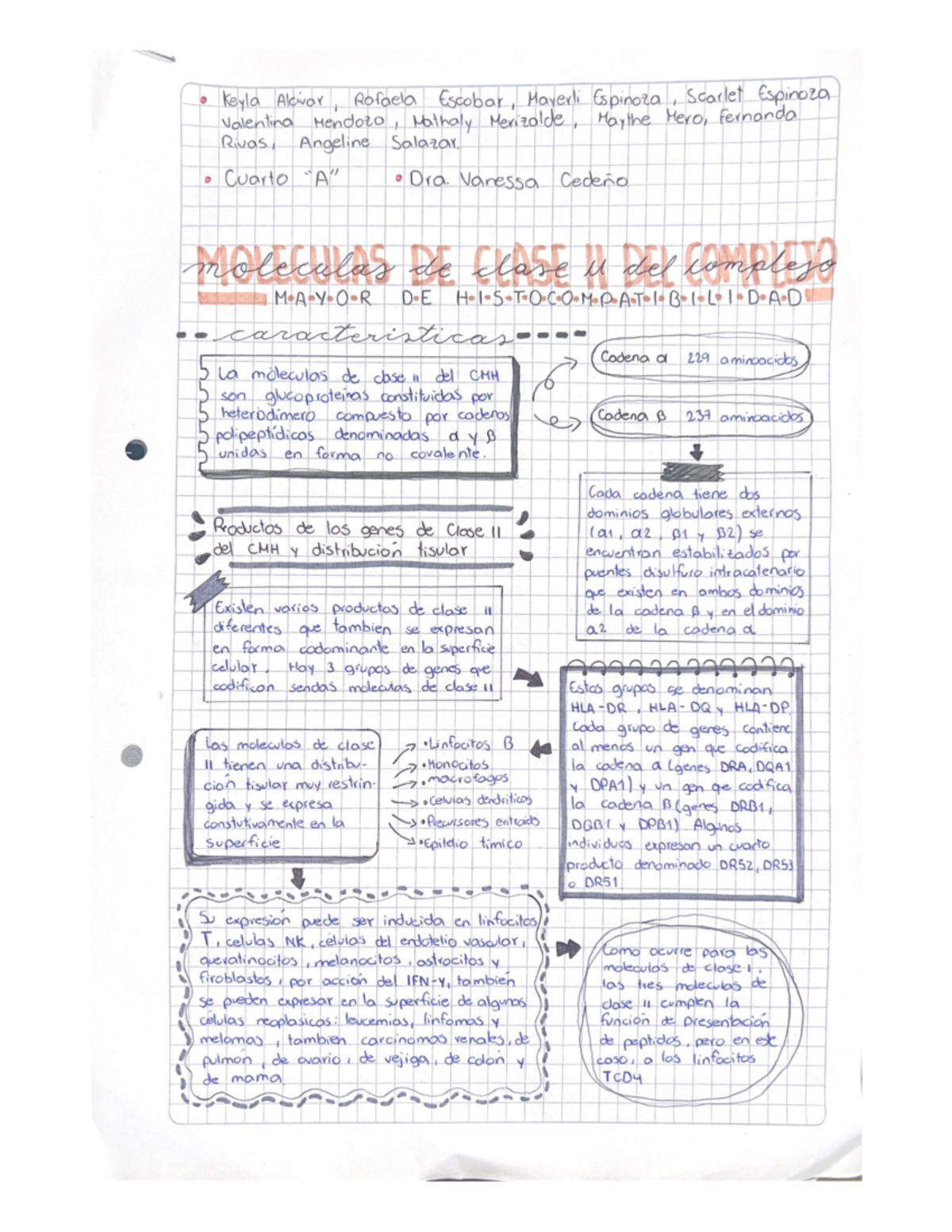 CMH - kiki - Keyla Alcivar, Rofaela Escobar, Mayerli Espinoza Scarlet ...