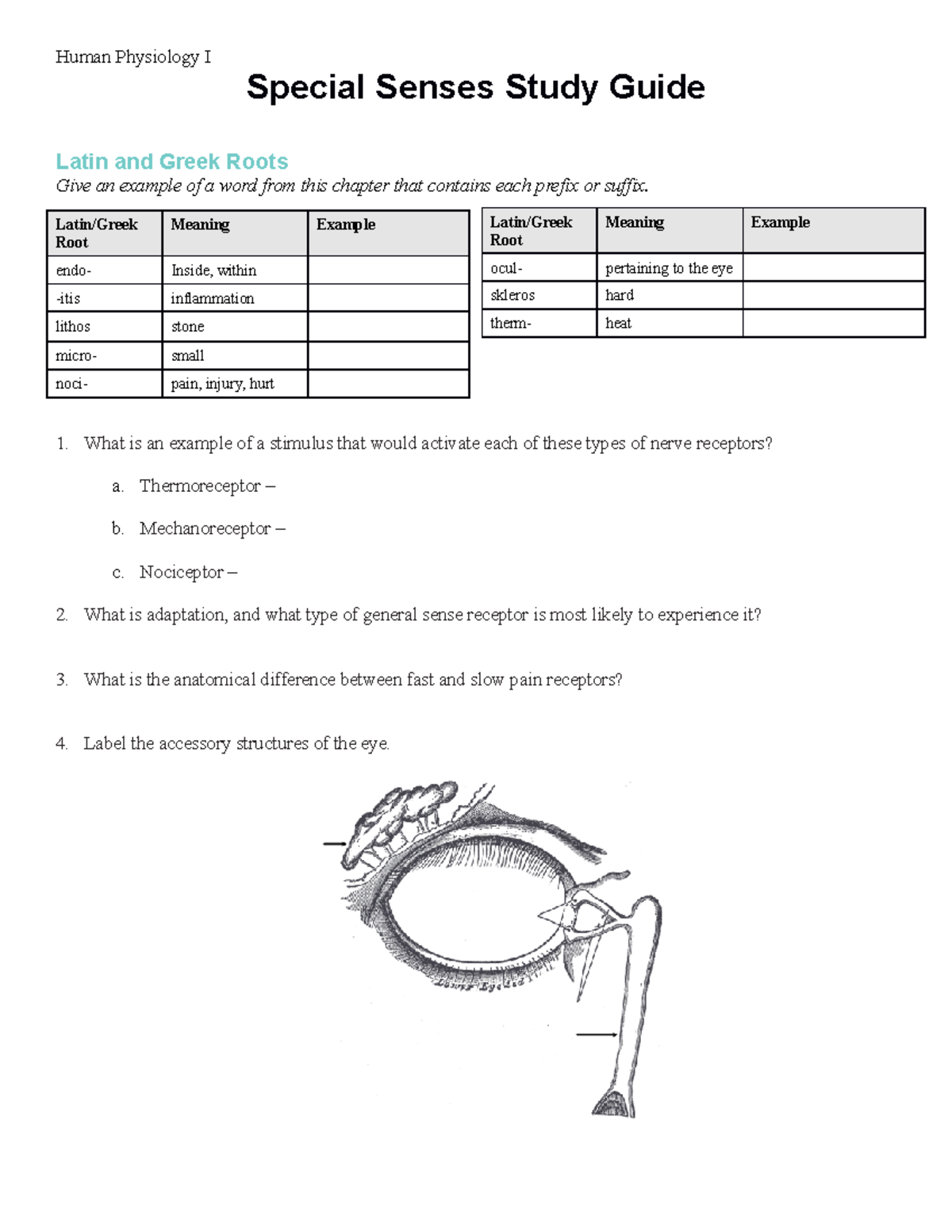 Special Senses Study Guide - Human Physiology I Special Senses Study ...