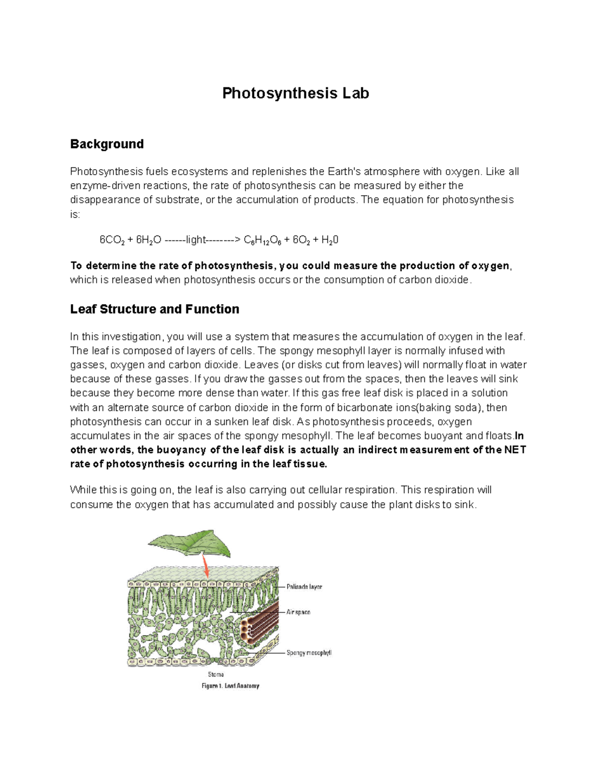 Photosynthesis Lab - lab presentation - Photosynthesis Lab Background ...