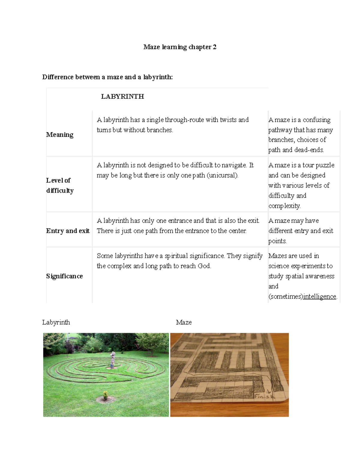 Maze learning in practicum - Maze learning chapter 2 Difference between ...
