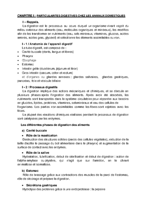 MAG 230 Brochure - It is my pleasure to present to you our upscale ...