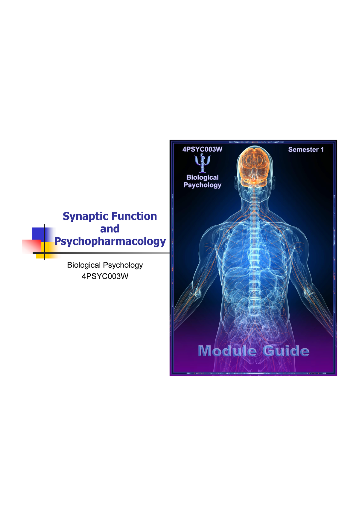 Learn eu central 1 prod fleet 01 xythos.content - Synaptic Function and Psychopharmacology - Studocu