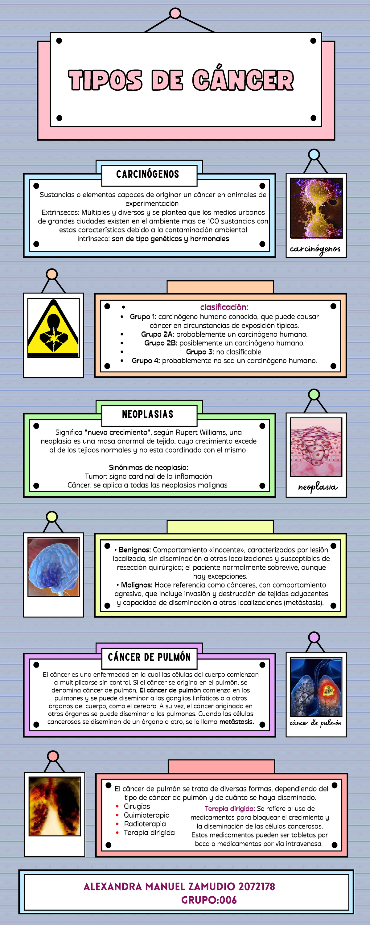 Infografia tipos de cáncer - carcinógenos neoplasias cáncer de pulmón ...