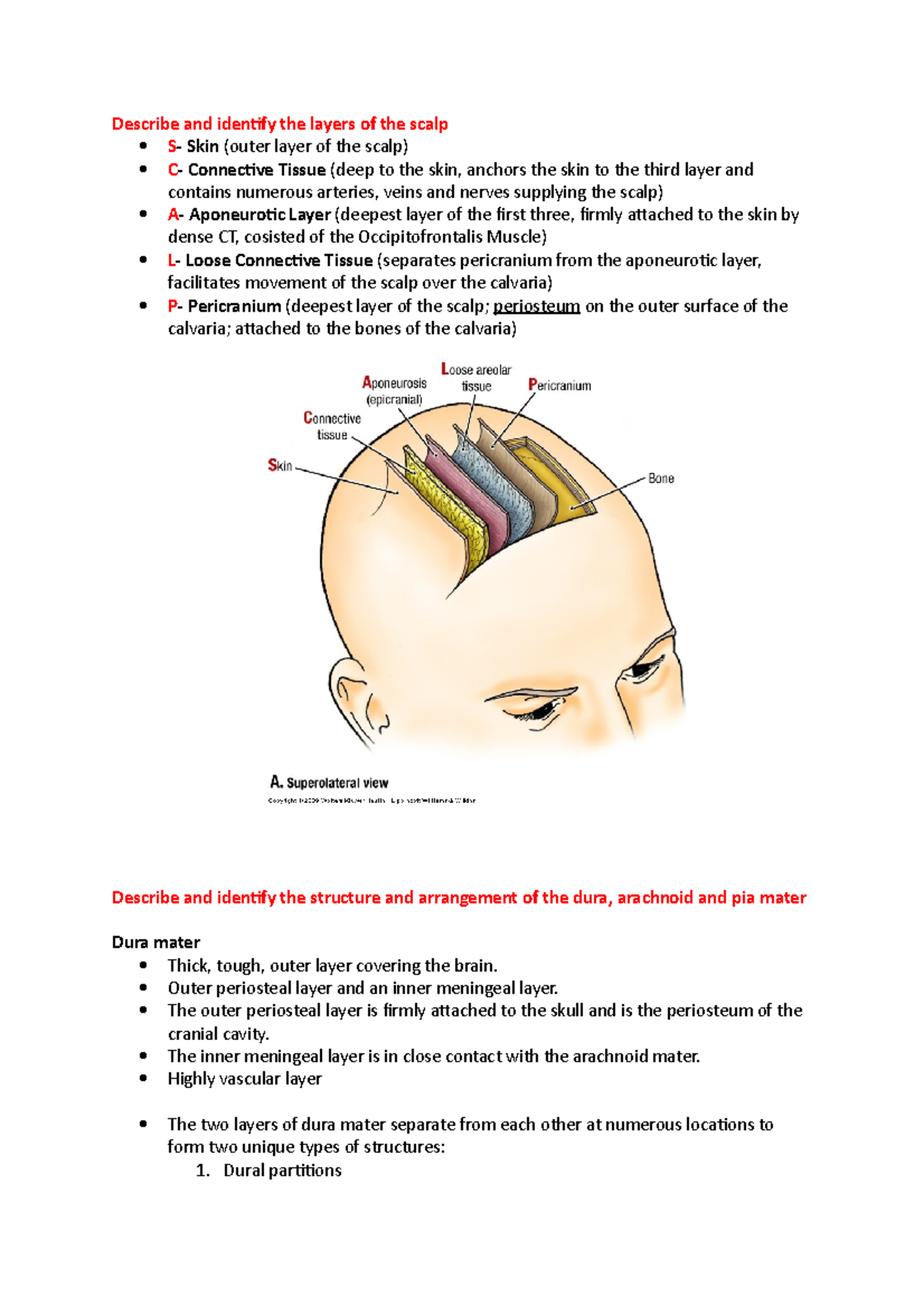 3. Scalp, meninges and spinal cord - Describe and identify the layers ...