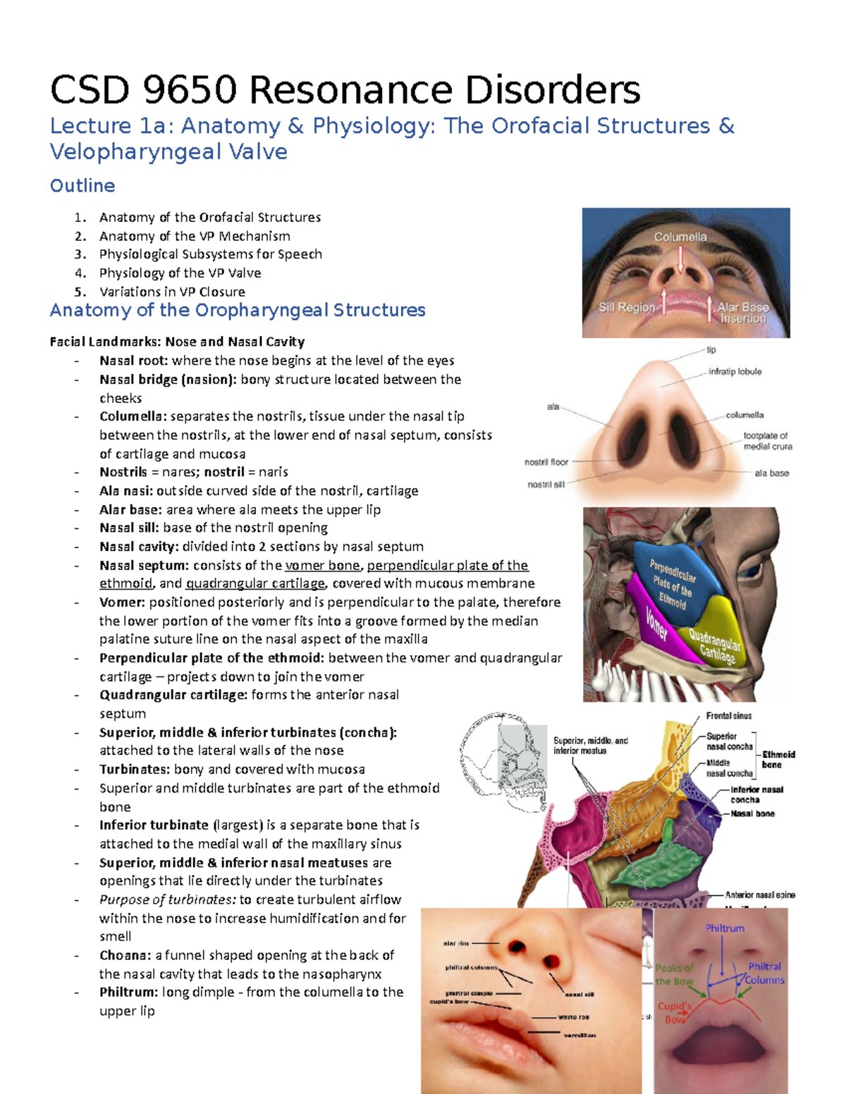 Master Notes Resonance Disorders - CSD 9650 Resonance Disorders Lecture ...